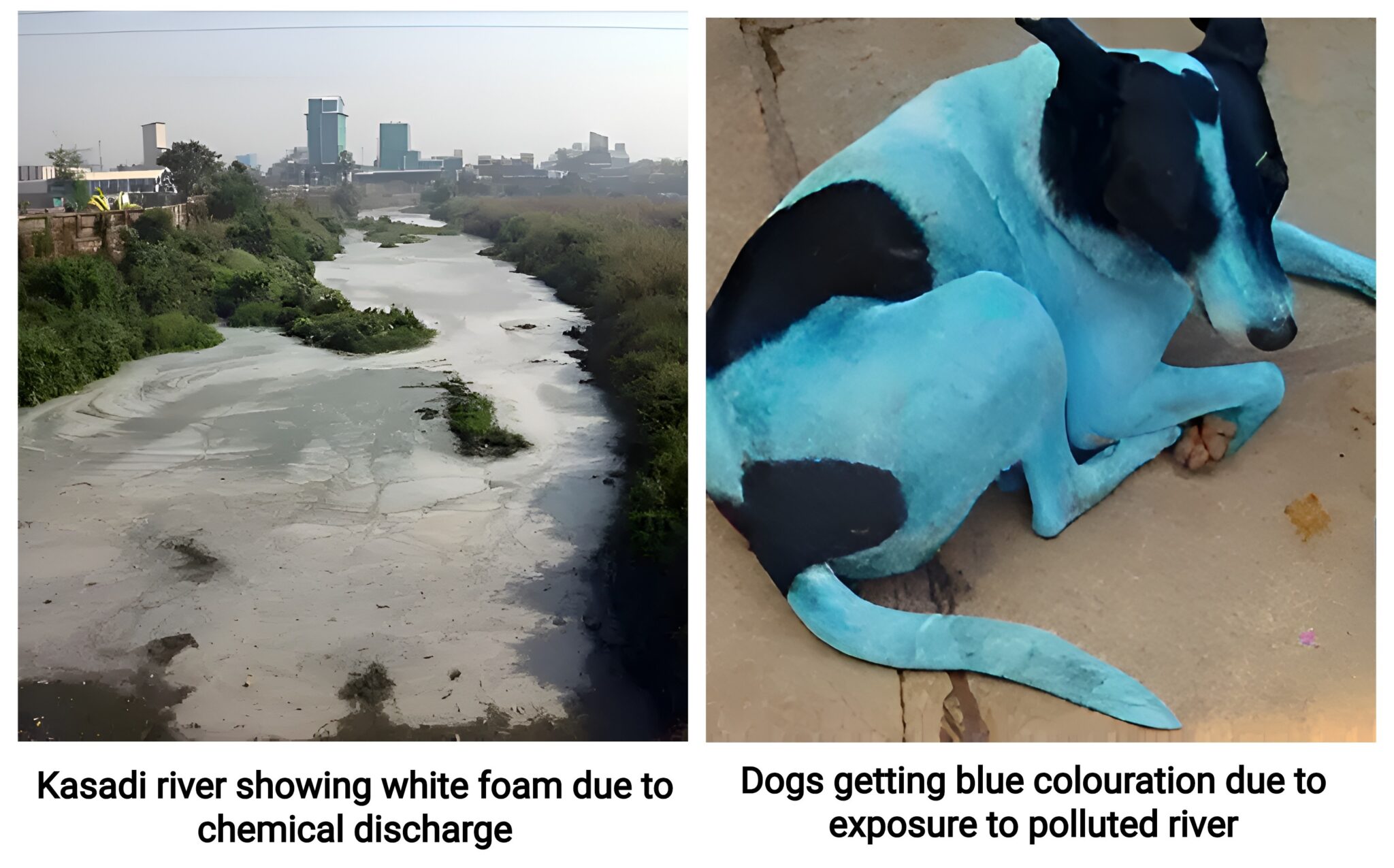 Waste water pollution case studies. – Agro Morph